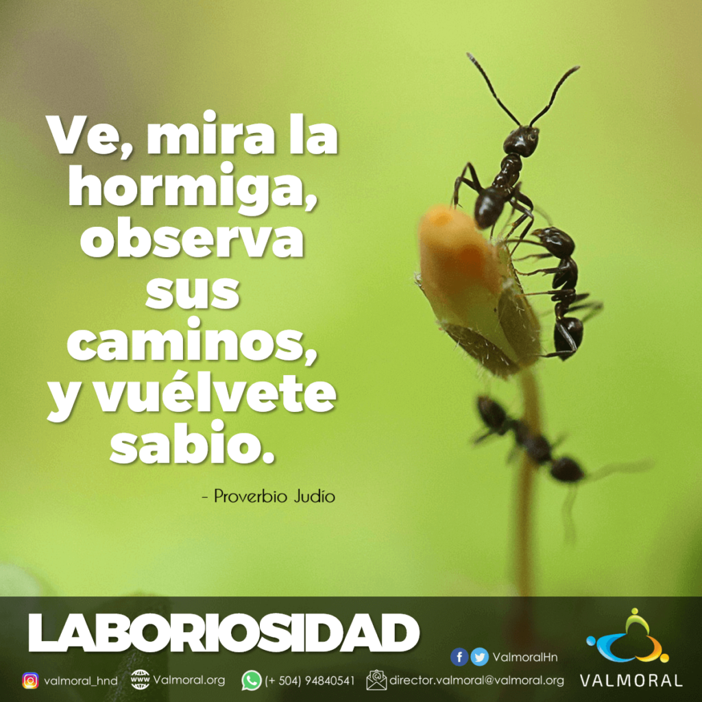 Laboriosidad – Valmoral